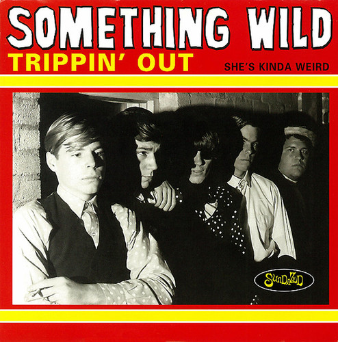 SOMETHING WILD Trippin' Out | Mysite