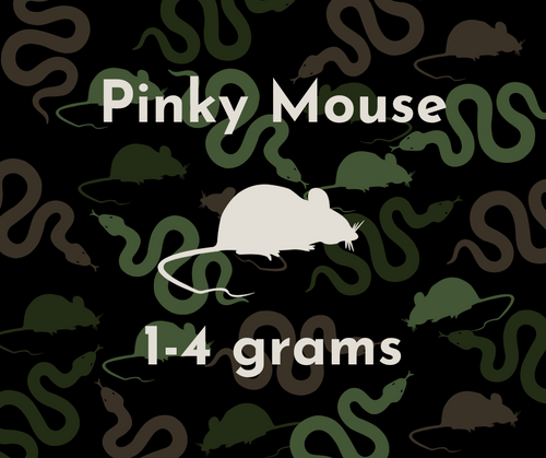 Pinky Mice | Spock's Sanctuary