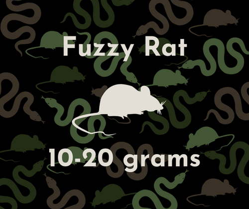 Fuzzy Rat | Spock's Sanctuary