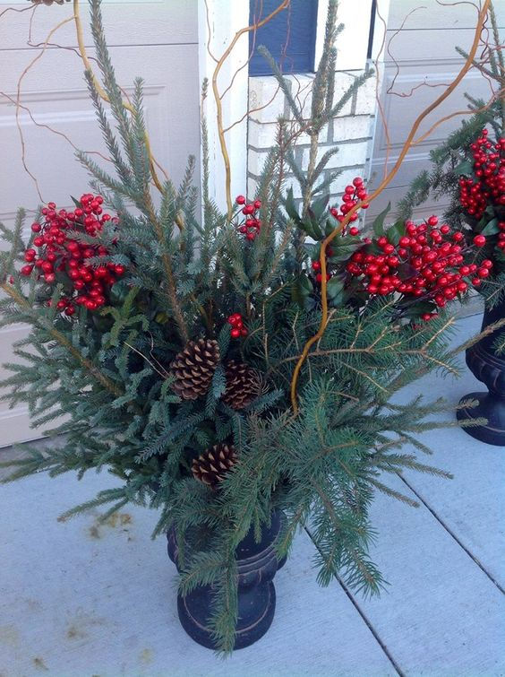 What are Spruce Tops?