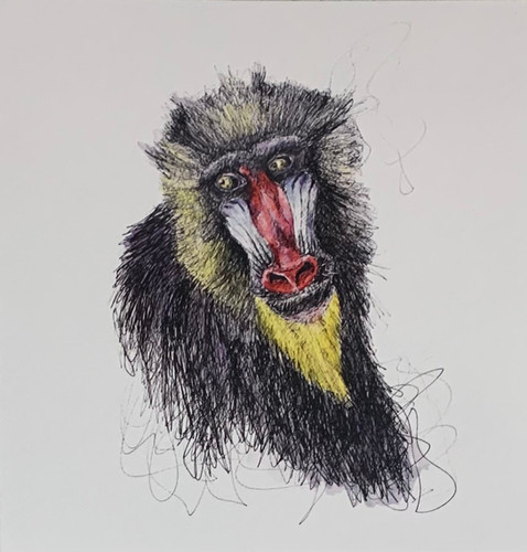 'Mandrill' Original Art | Louise Reilly