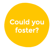 Parallel Parents - "Outstanding" Family Run Fostering Agency - England