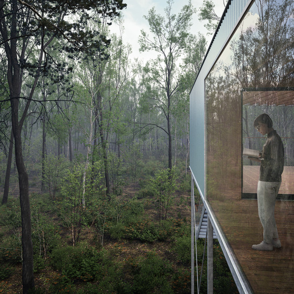 Pilotis in a forest | Mirage Visualisation