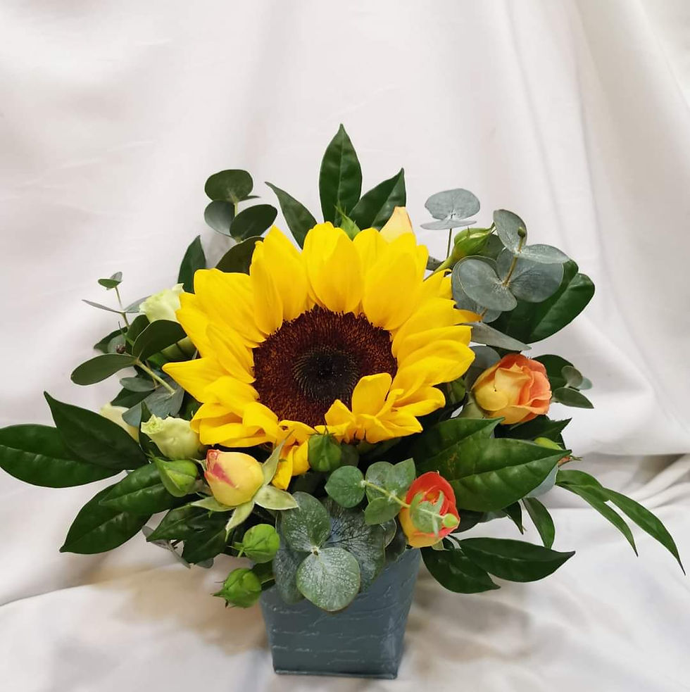 Shop All | rafflesflorist