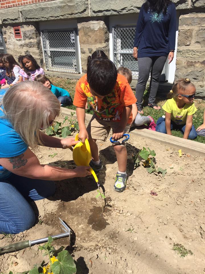Gallery | New Beginnings Learning Academy