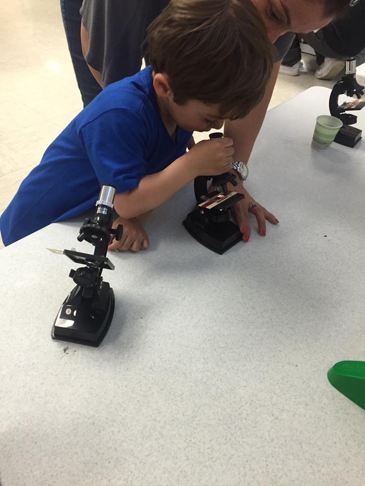 Gallery | New Beginnings Learning Academy