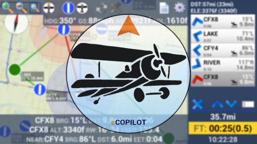 eCOPILOT (the electronic COPILOT)