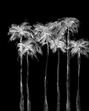 GALLERY | caleyashpole.com