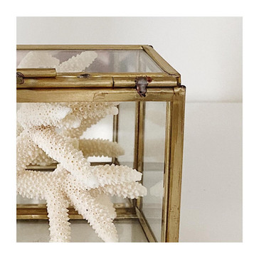 GALLERY | caleyashpole.com