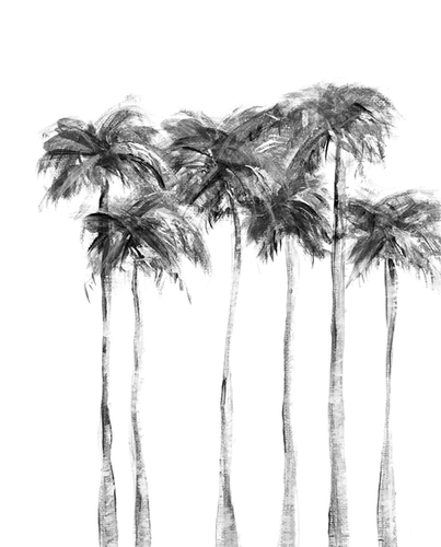 THE STRIP B+W edit | caleyashpole.com