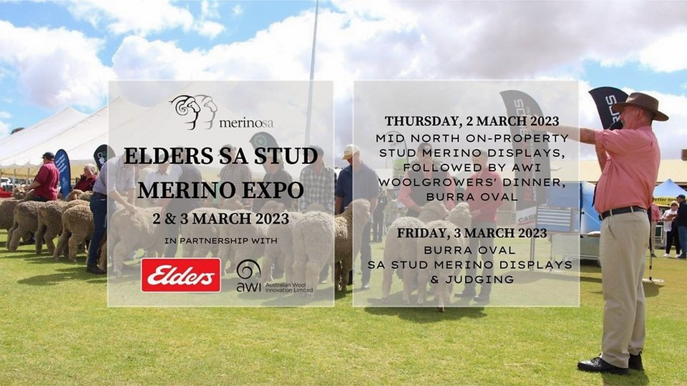 Merino SA - Elders SA Stud Merino Expo in Burra Friday March 3rd
