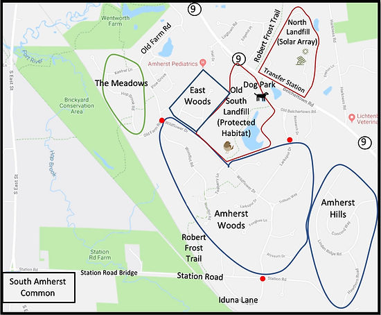 ABOUT US | Amherst Woods
