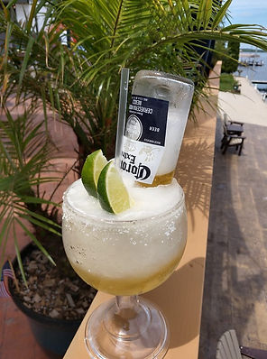 HOME | The Nauti Turtle