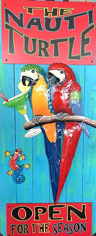 HOME | The Nauti Turtle