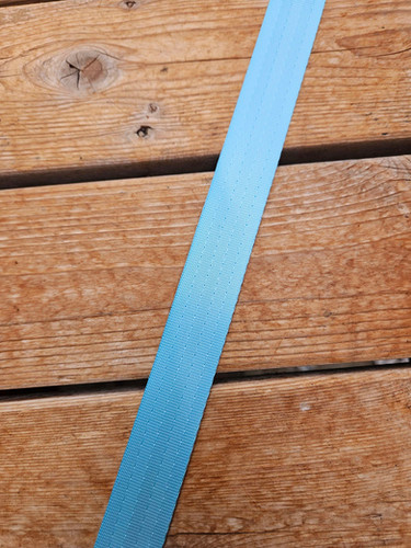 1" Light blue webbing | Renmae Designs