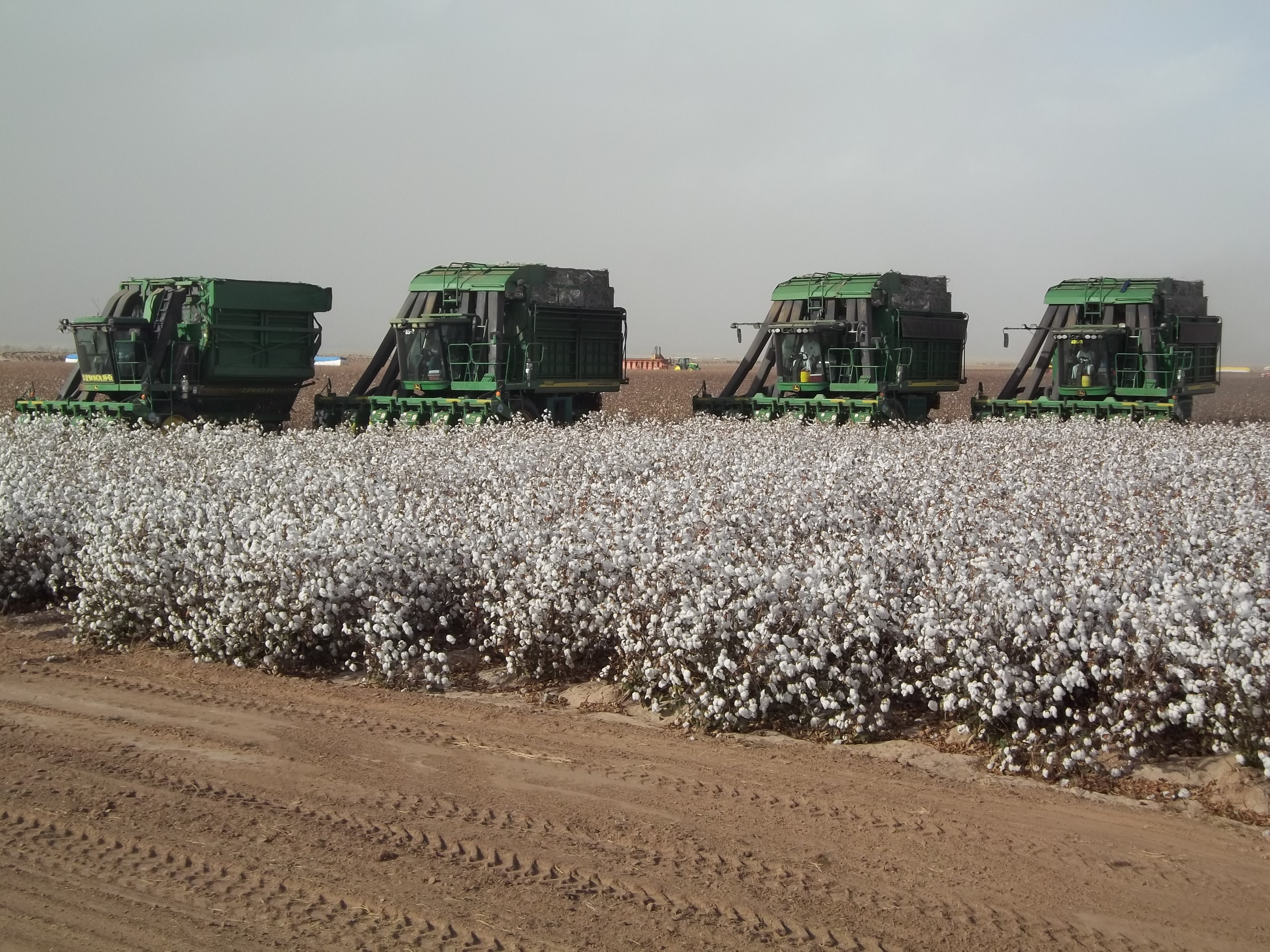 Agriculture | Arizona | Fertizona