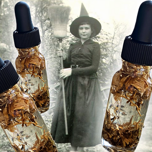 Witch Grass Oil- Passions, Power, Success, Spell Speed & Strength ...