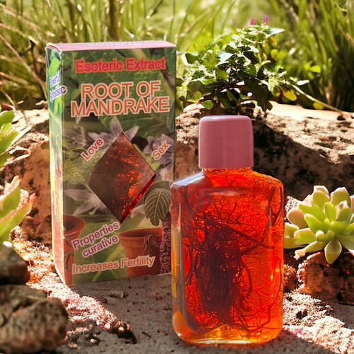 Mandrake Root Spiritual Perfume for Money & Love Rituals | theconjuredsaint