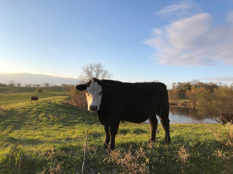 The Moment I Became a Rancher