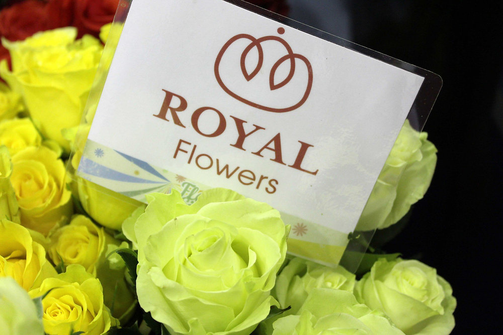 El grupo Elite concretó la compra de Royalflowers