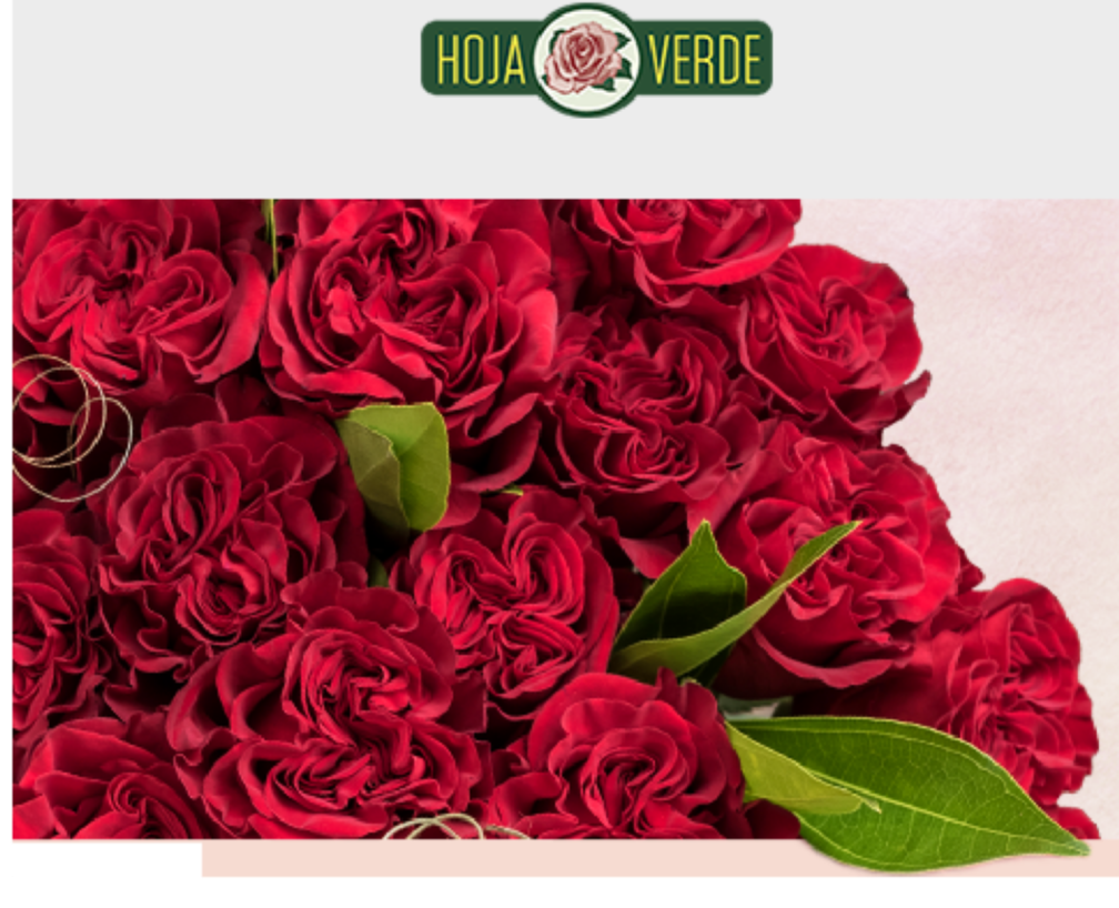 Home | Ecuador y sus flores