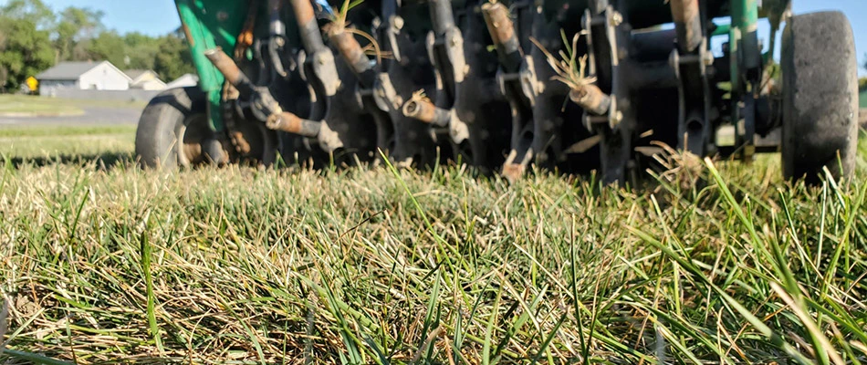 Core Aeration and Overseed | My Site