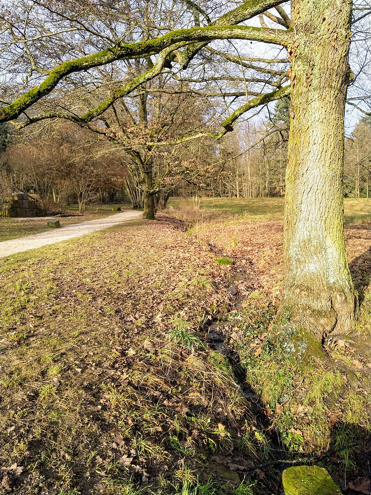 KfB bezweifelt gesetzlichen Zwang zur Offenlegung des Winkelbachs