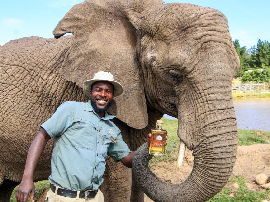 Indlovu Gin, a uniquely African spirit.