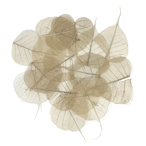 Phantom Leaves | WIO