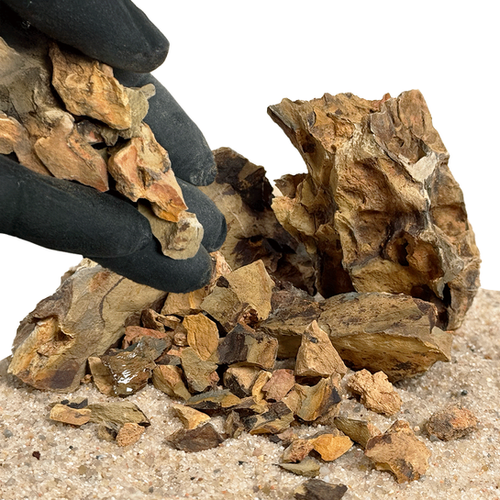 Dragon Chip Accent | WIO