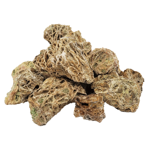 Web Nano Stone | WIO