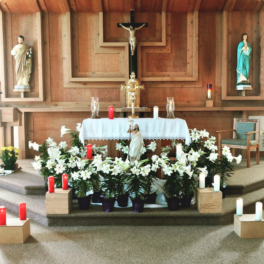 About ONE Catholic | My Site