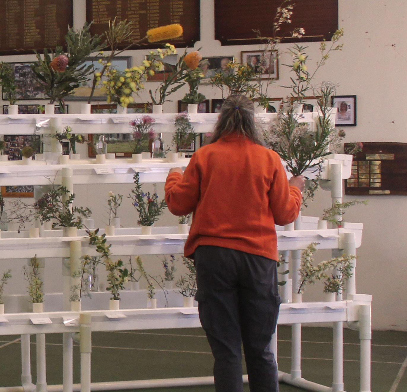 Chittering Landcare Wildflower Show | ChitteringSpringFest