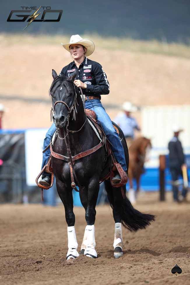 Time To Glo | Solo Select Horses