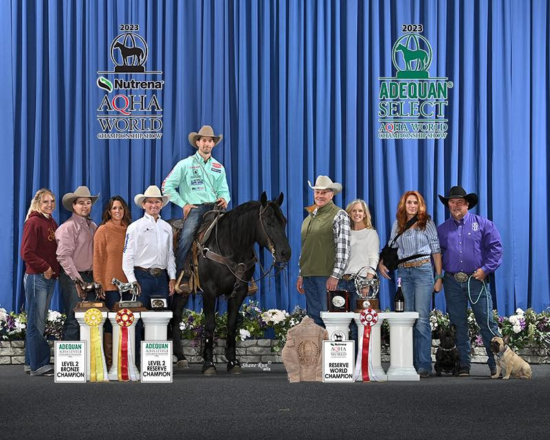 Time To Glo | Solo Select Horses