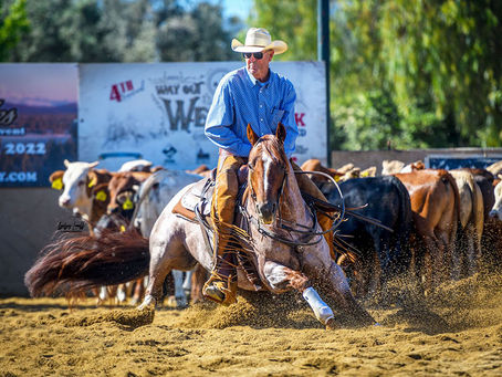 NEWS | Solo Select Horses