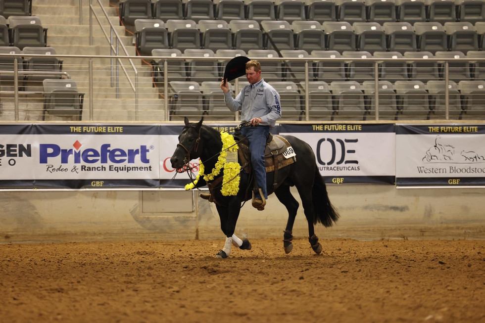 Time To Glo | Solo Select Horses