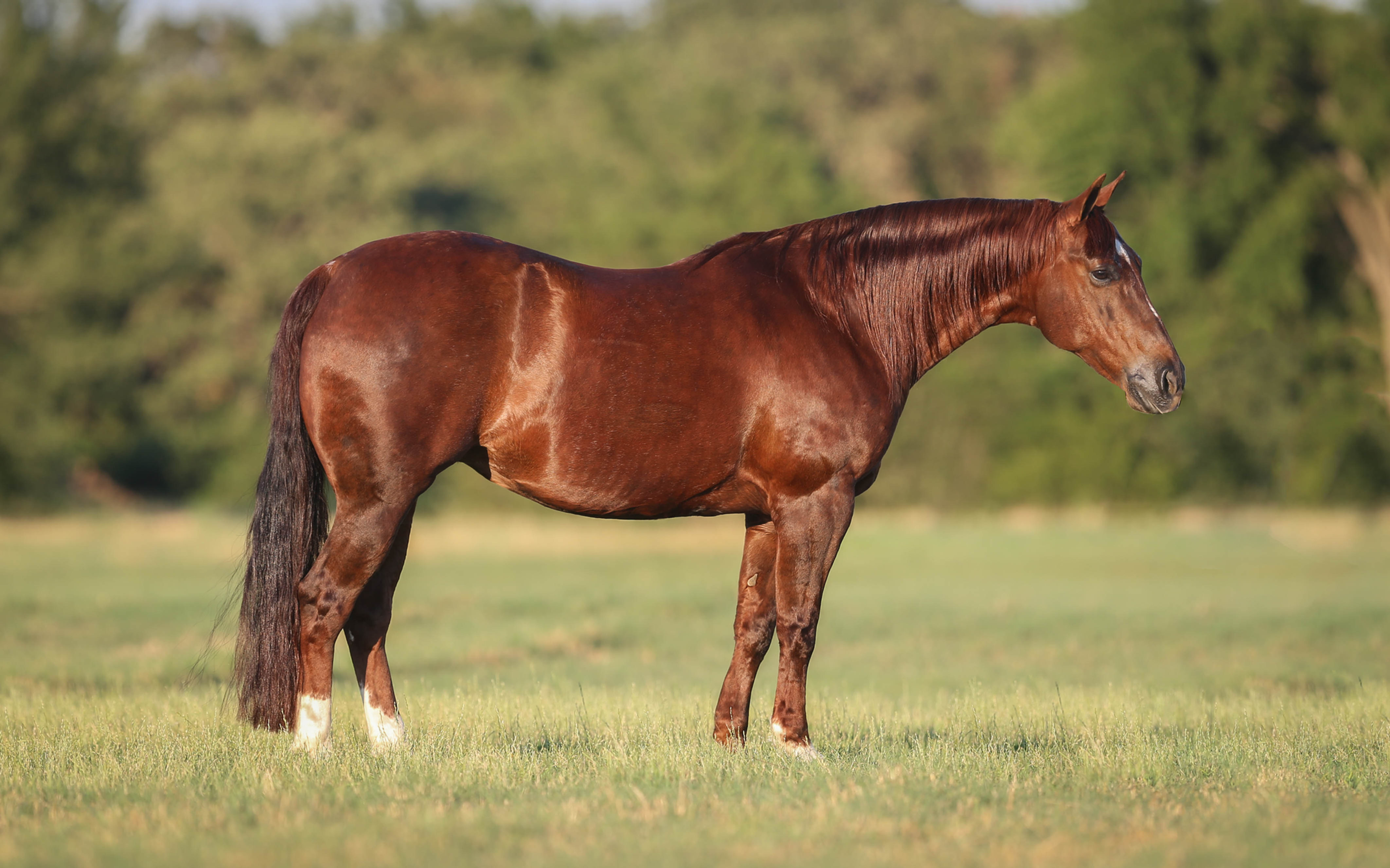 Metallicat | Select Genes