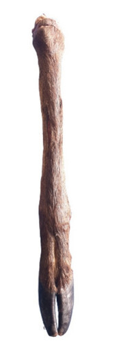 Deer Legs | The RuffRuff Co