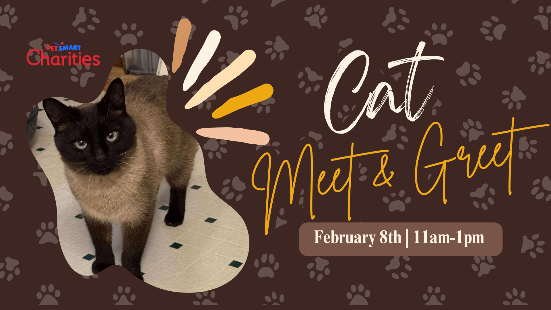 PetSmart Cat Meet & Greet | Journey Home