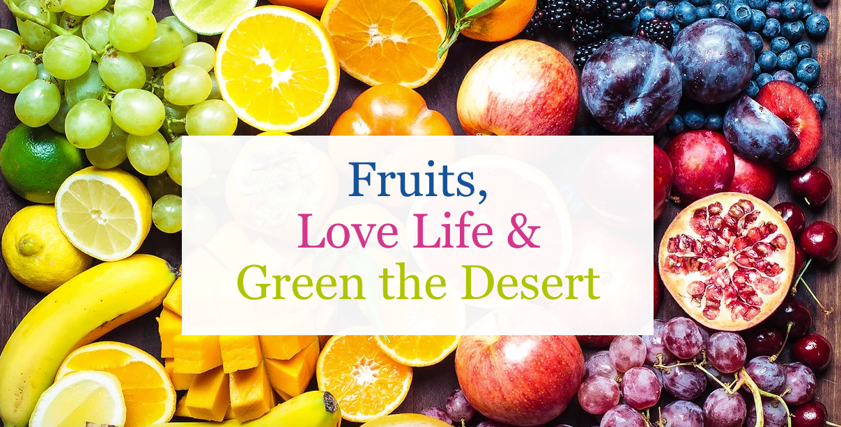 Programme 2024 | Raw Adventure Festival par Mimi et Jacky