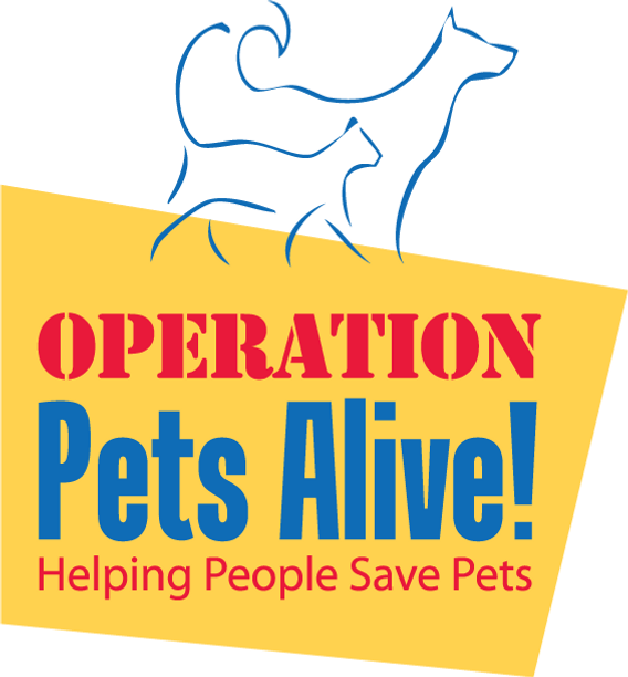 peoples save animals