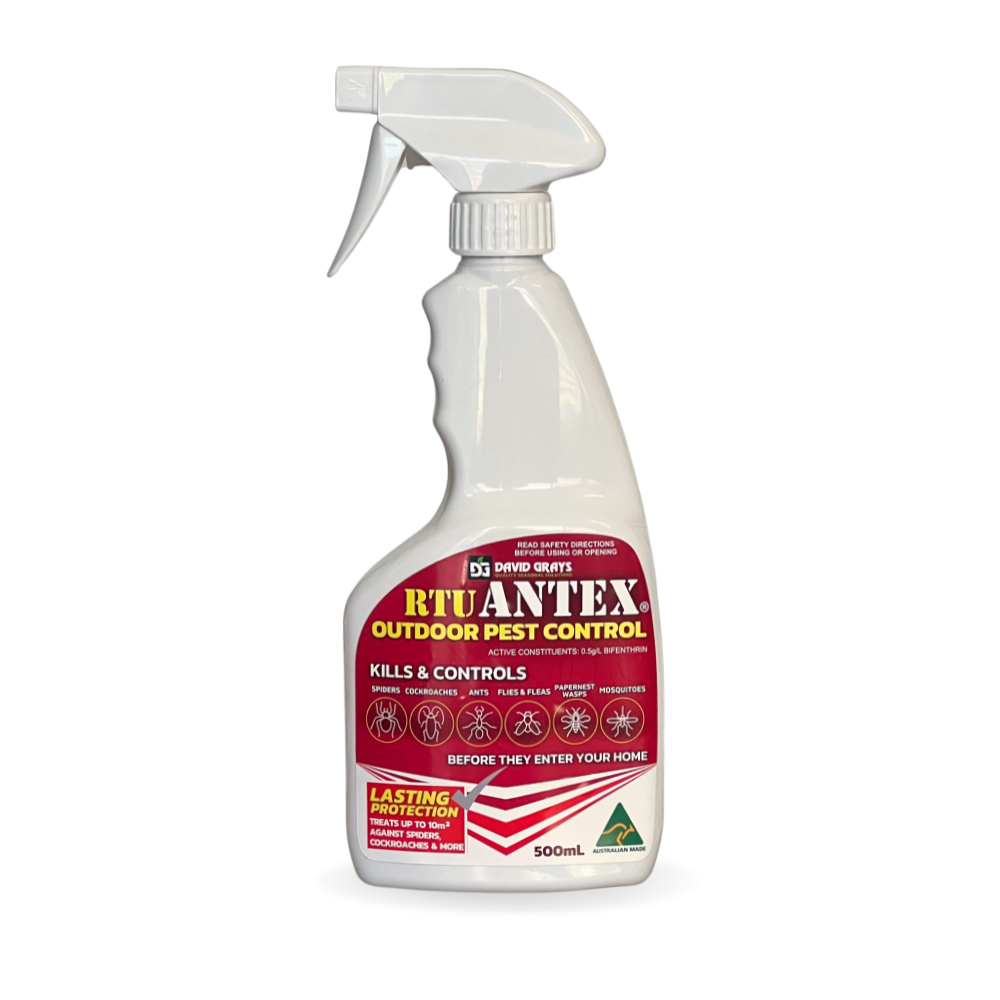 Antex RTU Insecticide Spray | David Grays