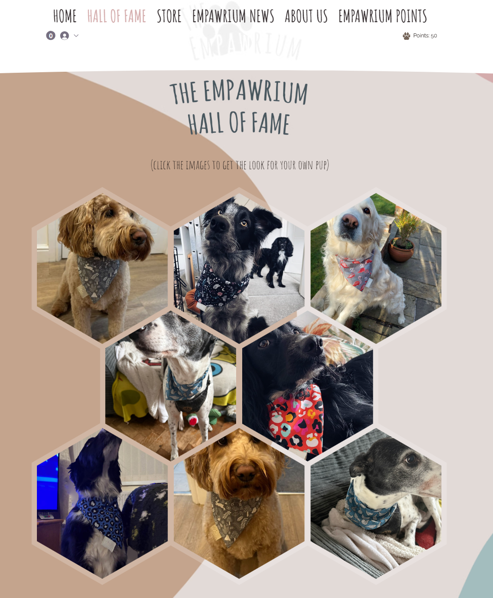 HALL OF FAME | The Empawrium