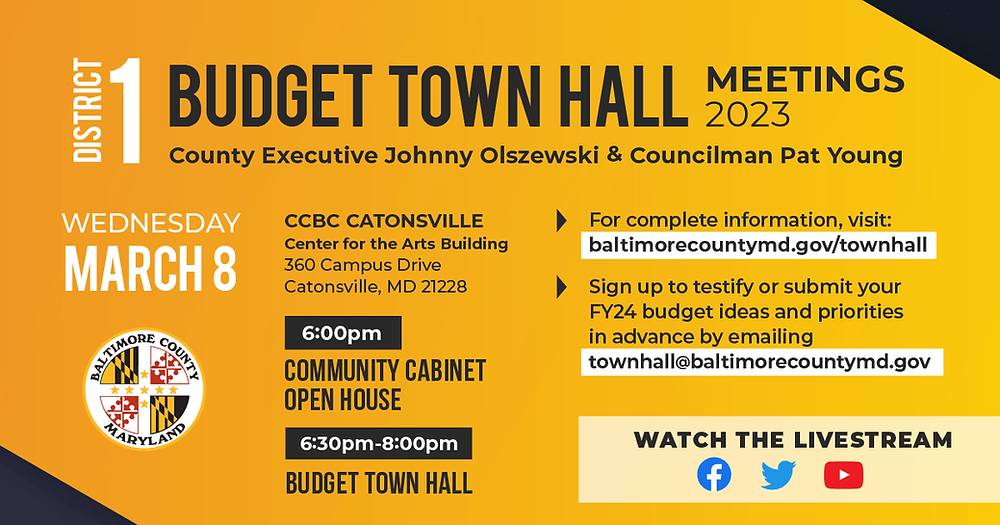 District 1 Budget Town Hall Meeting March 8th
