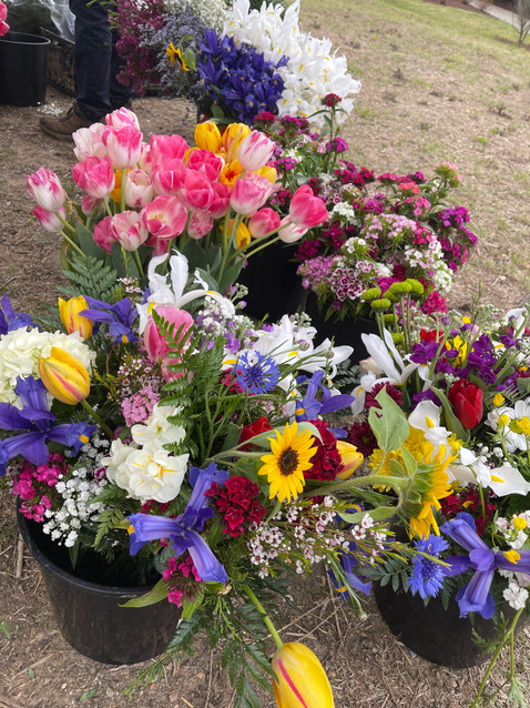 Apex Farmers Market | Apex, NC | Home