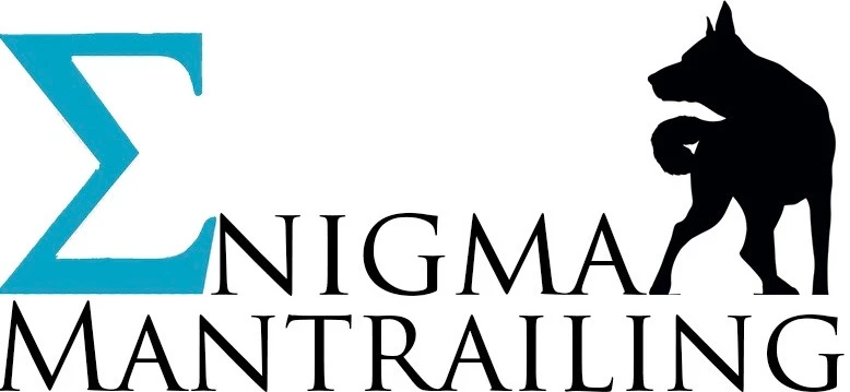 Mantrailing Foundations - INSTRUCTOR | Enigma Canine