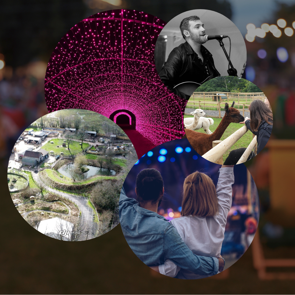 Drive-in Cinema Swansea | Swansea Cinema | Penlan RFC