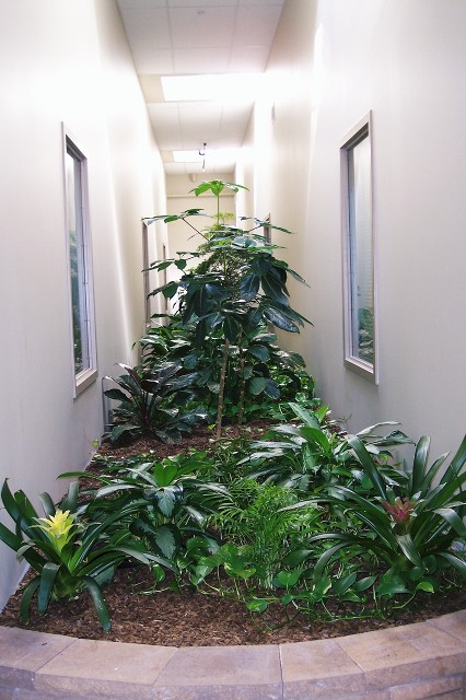 Custom Plant Design Gallery