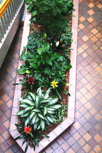 Custom Plant Design Gallery